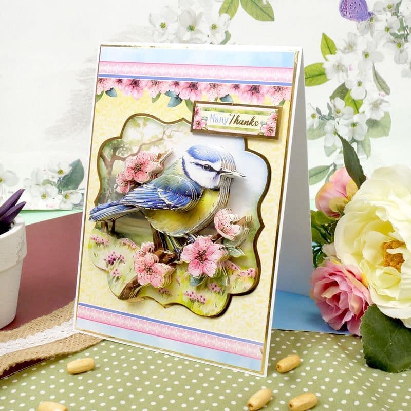 Brilliant Blue Tit - Beautiful Birds Hunkydory Die Cut Decoupage Kit