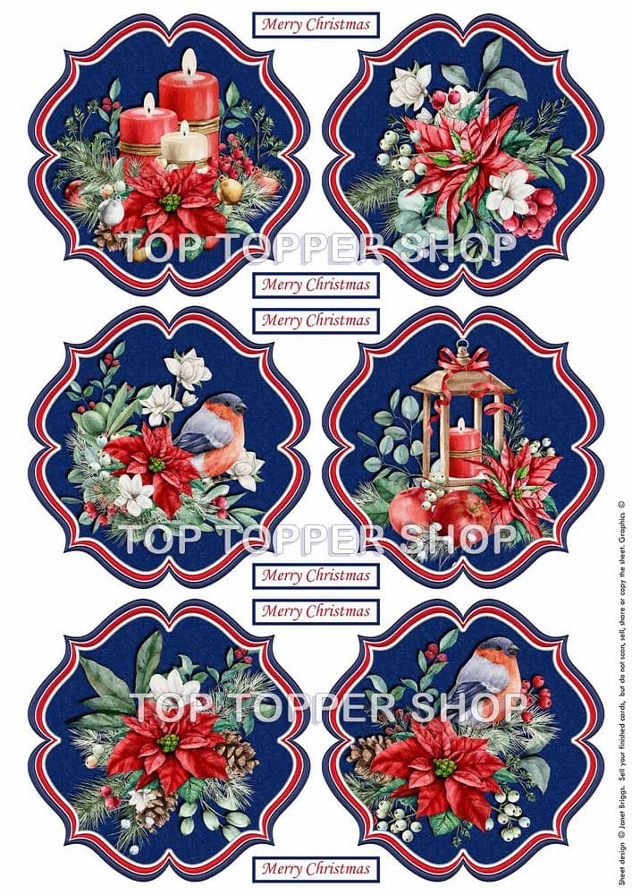 Floral Decor - Christmas Toppers for Card Making 290gsm TTSTOPX9