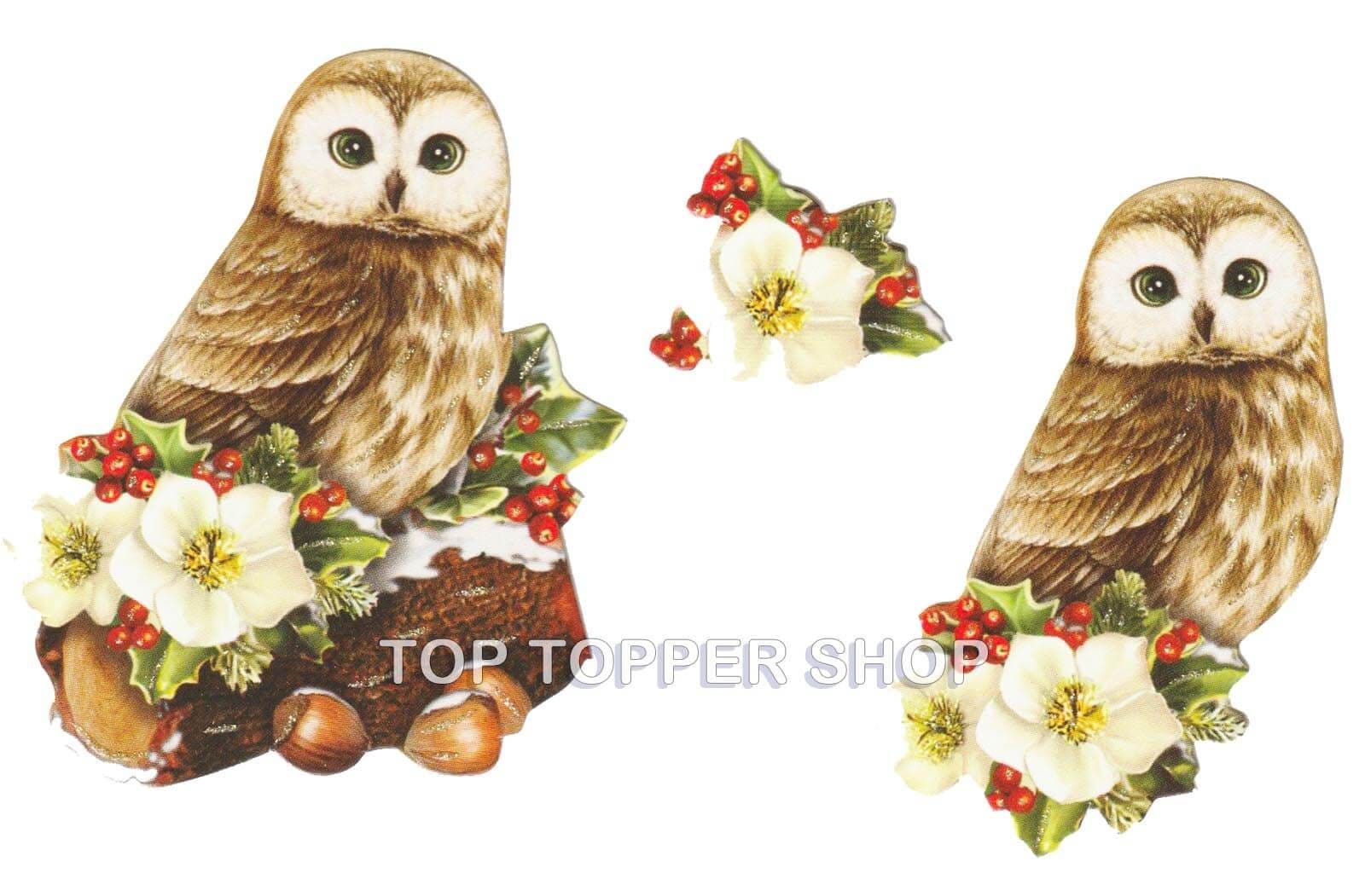 Flower Owls 10 Easy 3d Die Cut Decoupage Toppers Hearty Crafts HC13576