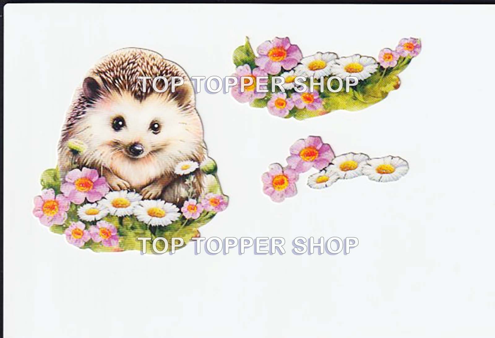 Hedgehogs 10 Easy 3d Die Cut Decoupage Toppers Hearty Crafts HC13869