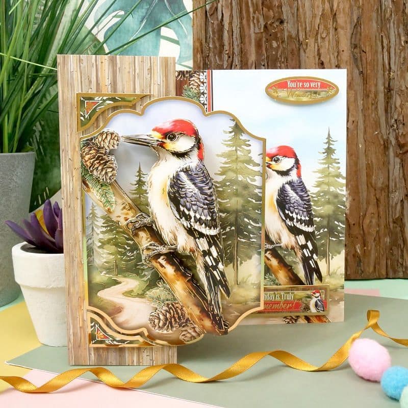 Wonderful Woodpecker - Beautiful Birds Hunkydory Die Cut Decoupage Kit