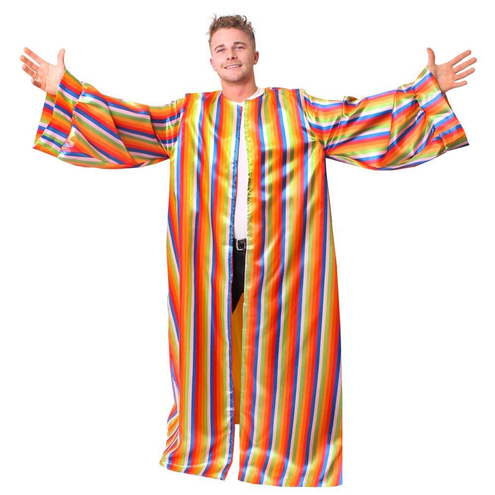 Amazing Dreamcoat costume| Plus size fancy dress | Plus size Xmas ...