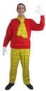 Plus Size Rupert The Bear Costume, plus size Vicar fancy dress costume ...