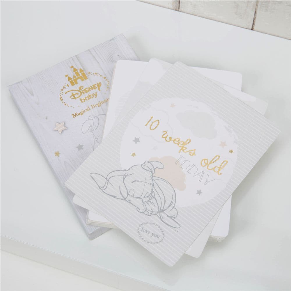 Disney Dumbo Milestone Cards Gift Set for new baby and baby shower