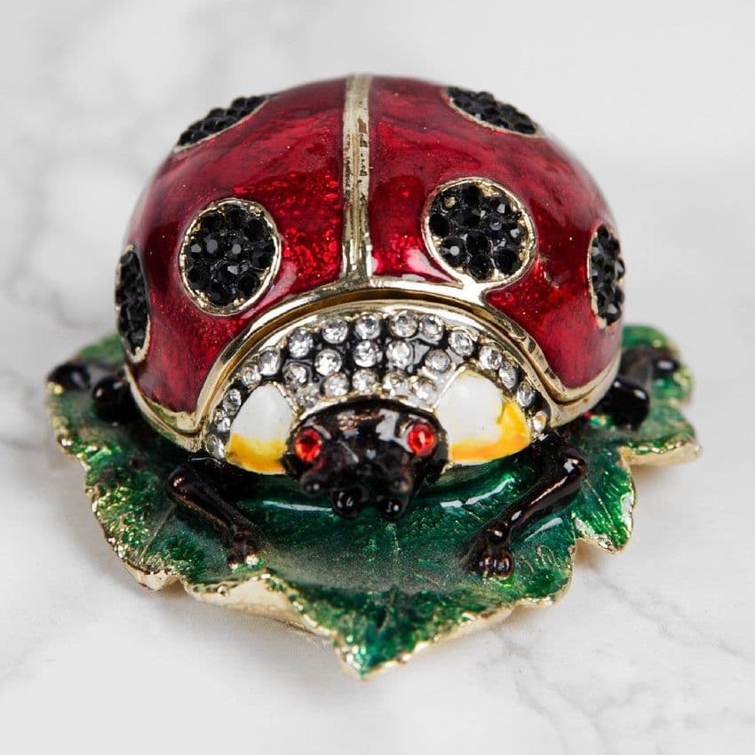 Ladybird Trinket Box Gift Treasured Trinkets Collection by Juliana