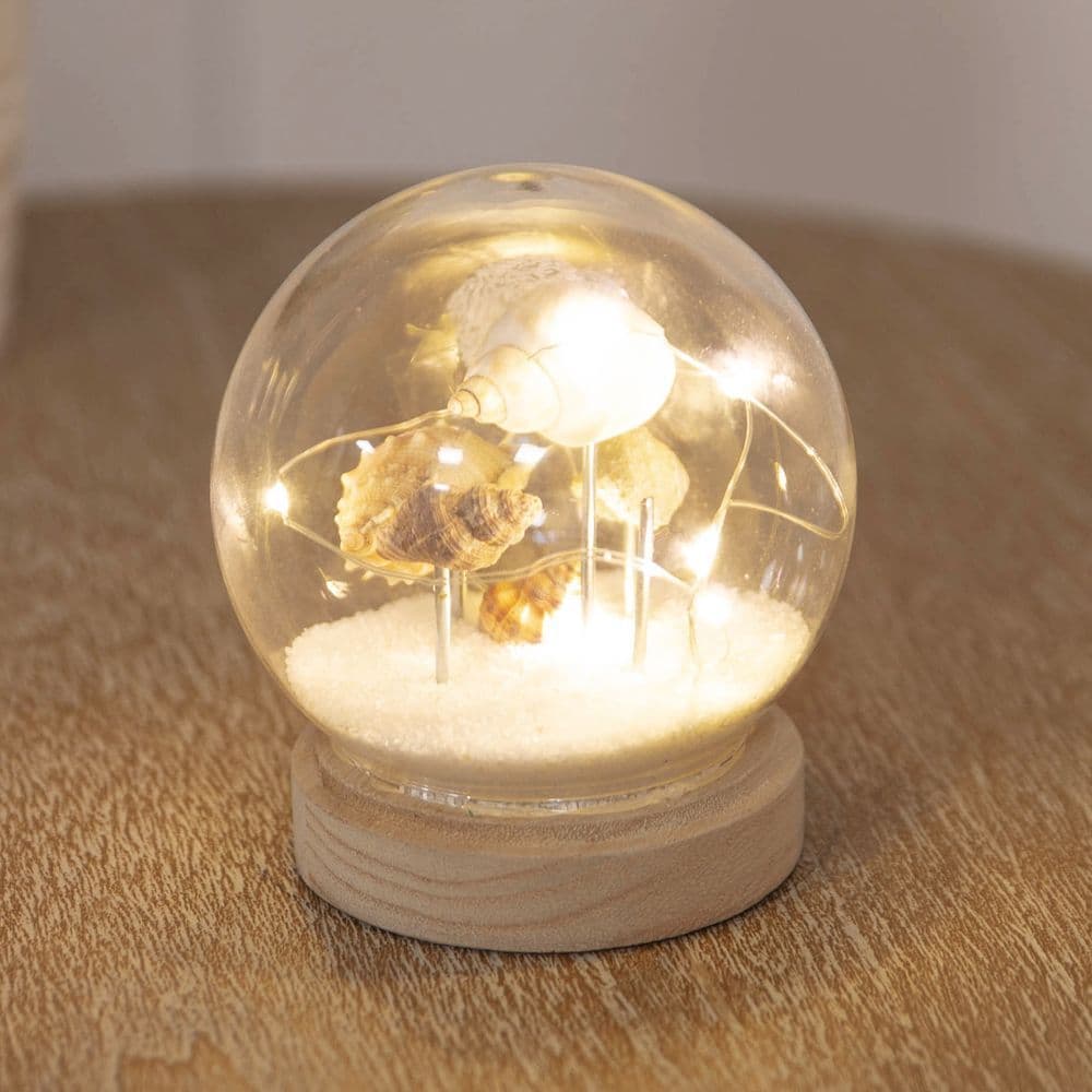 Light Up Glass Seashell Globe Home Ornament - Seashell LED Light. Soft ...