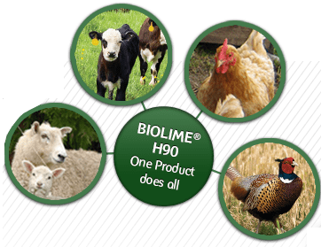 Biolime H90 1 Ton Pallet 40 x 25kg Bags