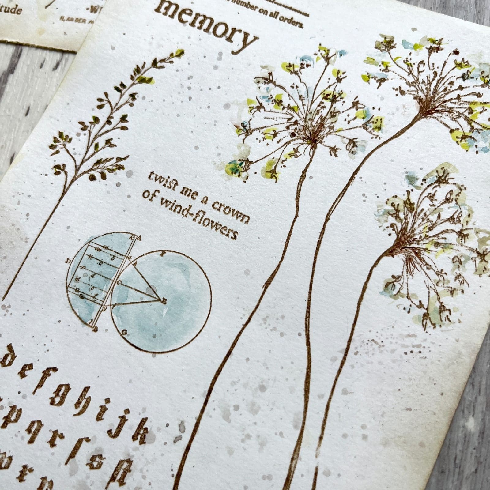 PaperArtsy Eclectica E Alison Bomber 52 Twisted Umbels Edition - EAB52 ...