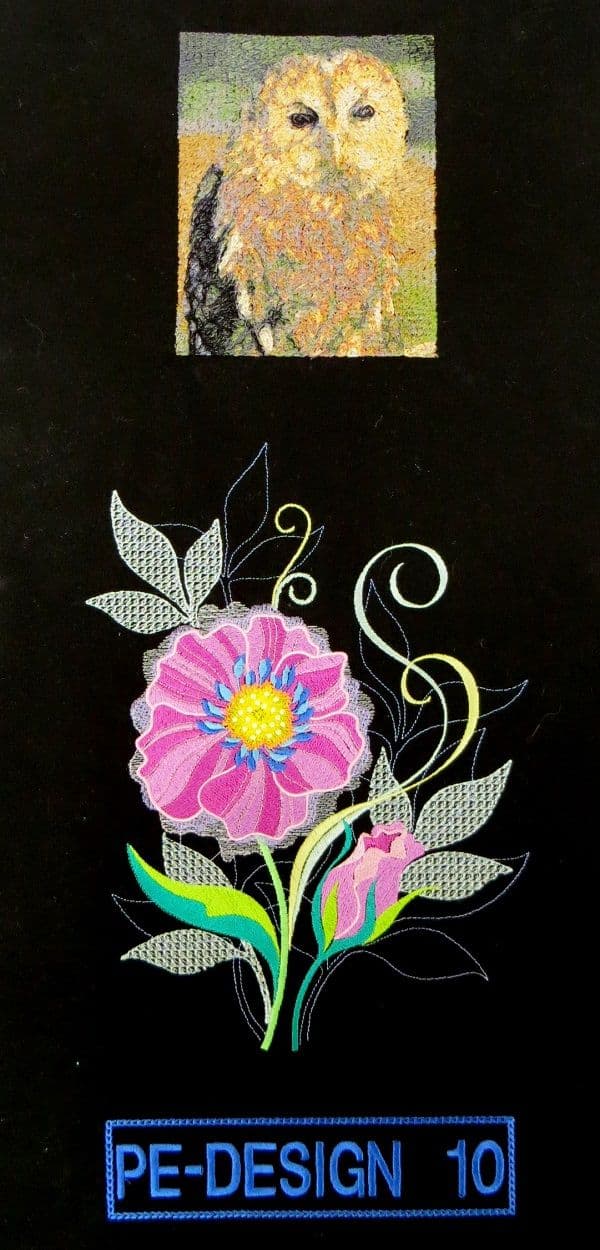 Brother PE Design 10 Upgrade from Ver 5, 6, 7, 8 and NEXT