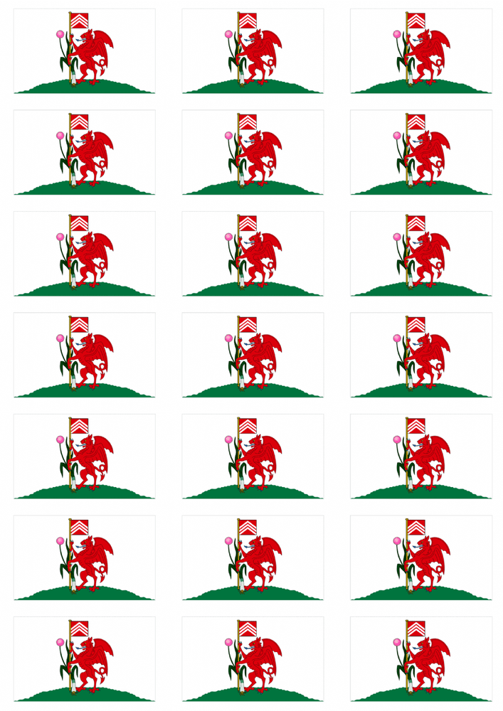 Cardiff Flag Stickers - 21 per sheet