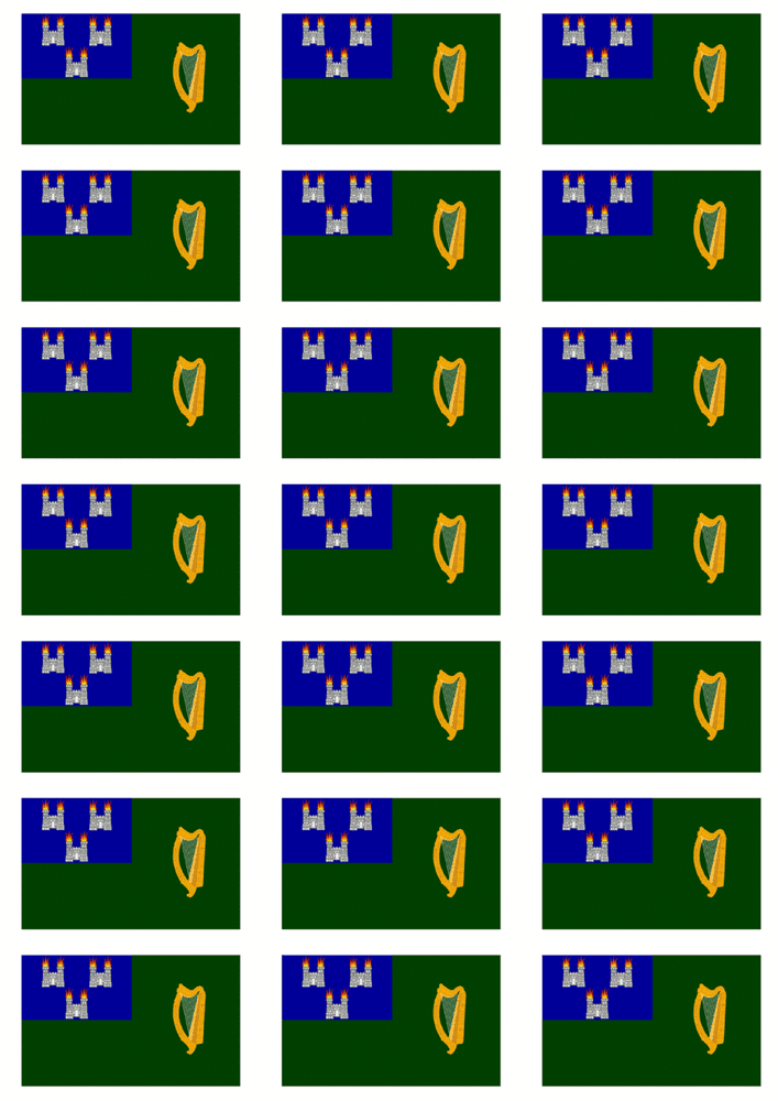 Dublin Flag Stickers - 21 per sheet