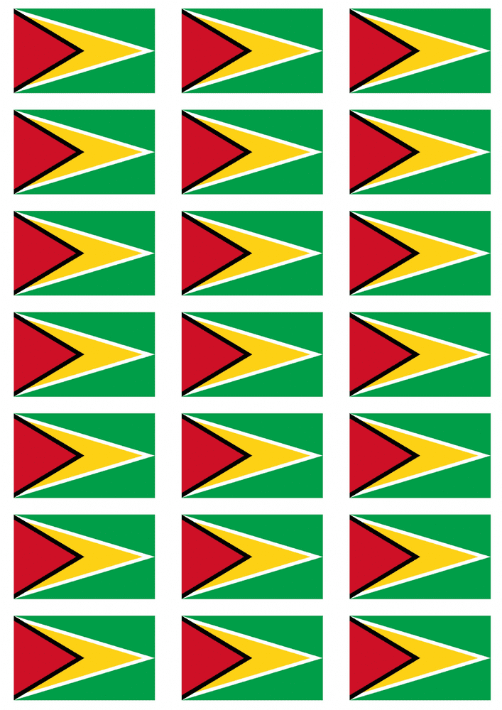 Guyana Flag Stickers - 21 per sheet