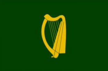 Leinster Large Flag - 5' x 3'.