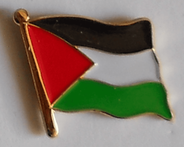 Palestine Country Flag Enamel Pin Badge
