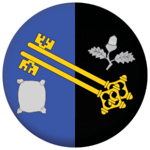 Surrey County Flag 25mm Pin Button Badge