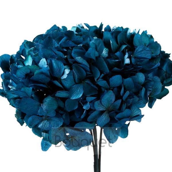 / PRESERVED HYDRANGEAS BLUE
