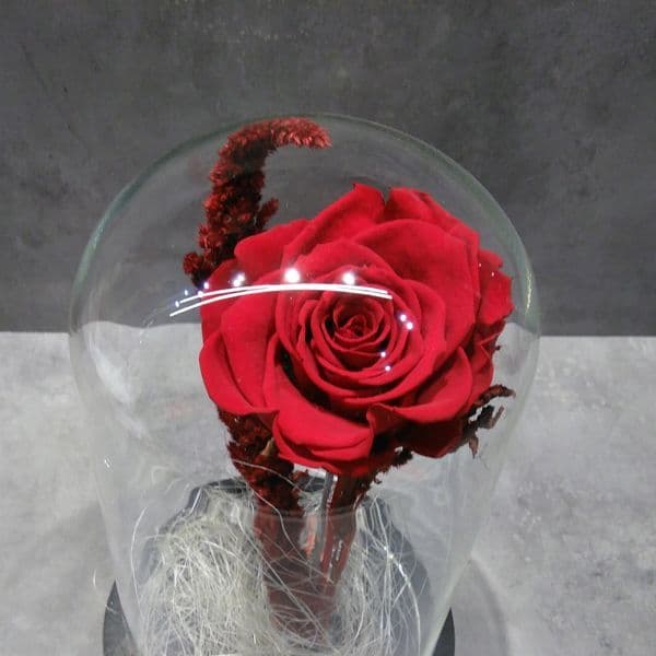 A FOREVER ROSE in a tall dome glass