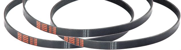 PJ559 POLY-V RIBBED BELT
