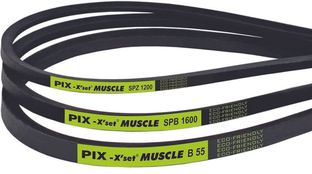 SPB4000 MUSCLE BELT 17x4000 Lp