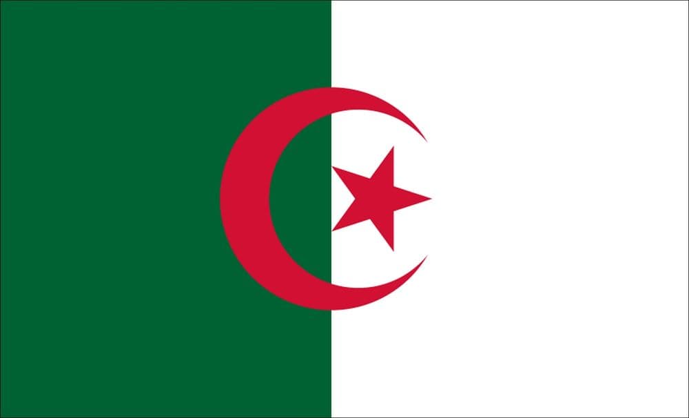 ALGERIA- MINI FLAG 22 5cm x 15cm