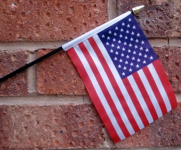 HAND WAVING FLAG SMALL - USA
