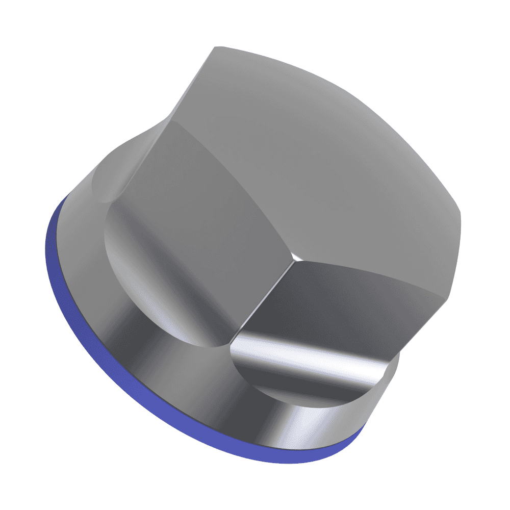 M12 - Hygienic Cap Nuts | Vital Parts