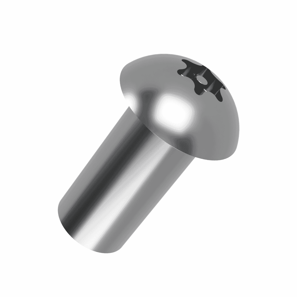 Pin Torx Barrel Nuts for Security Fixings | A2 Stainless