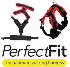 Perfect Fit Dog Harness