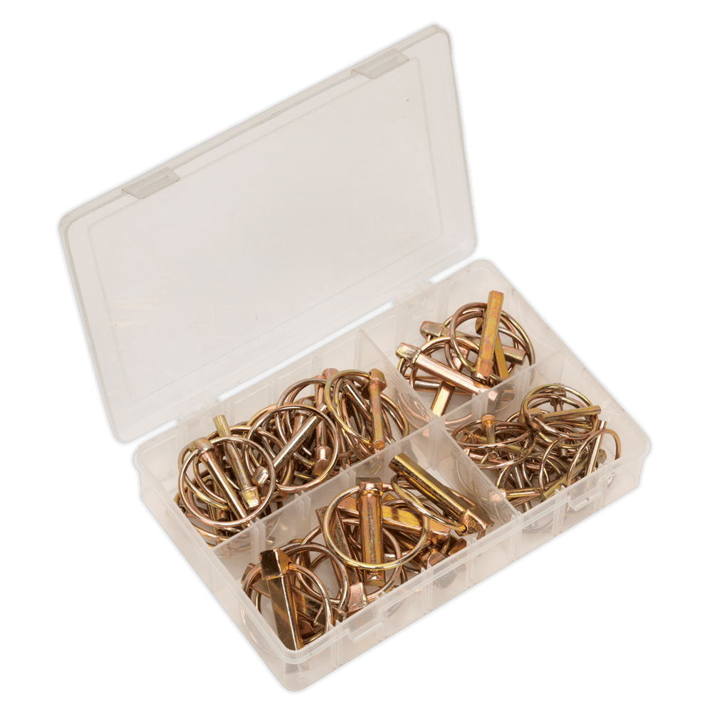 Linch Pin Assortment 50pc Metric AB022LP