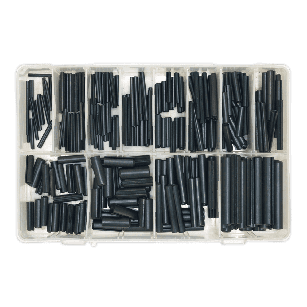 Spring Roll Pin Assortment 300pc - Metric AB007RP