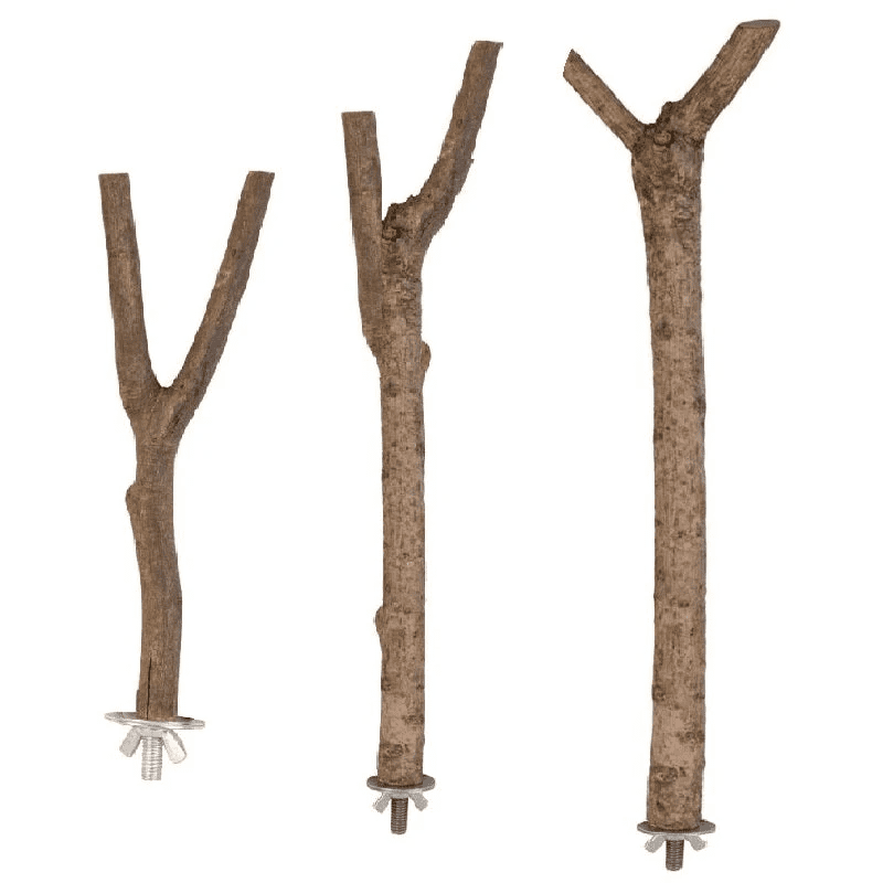 Natural Branch Perch