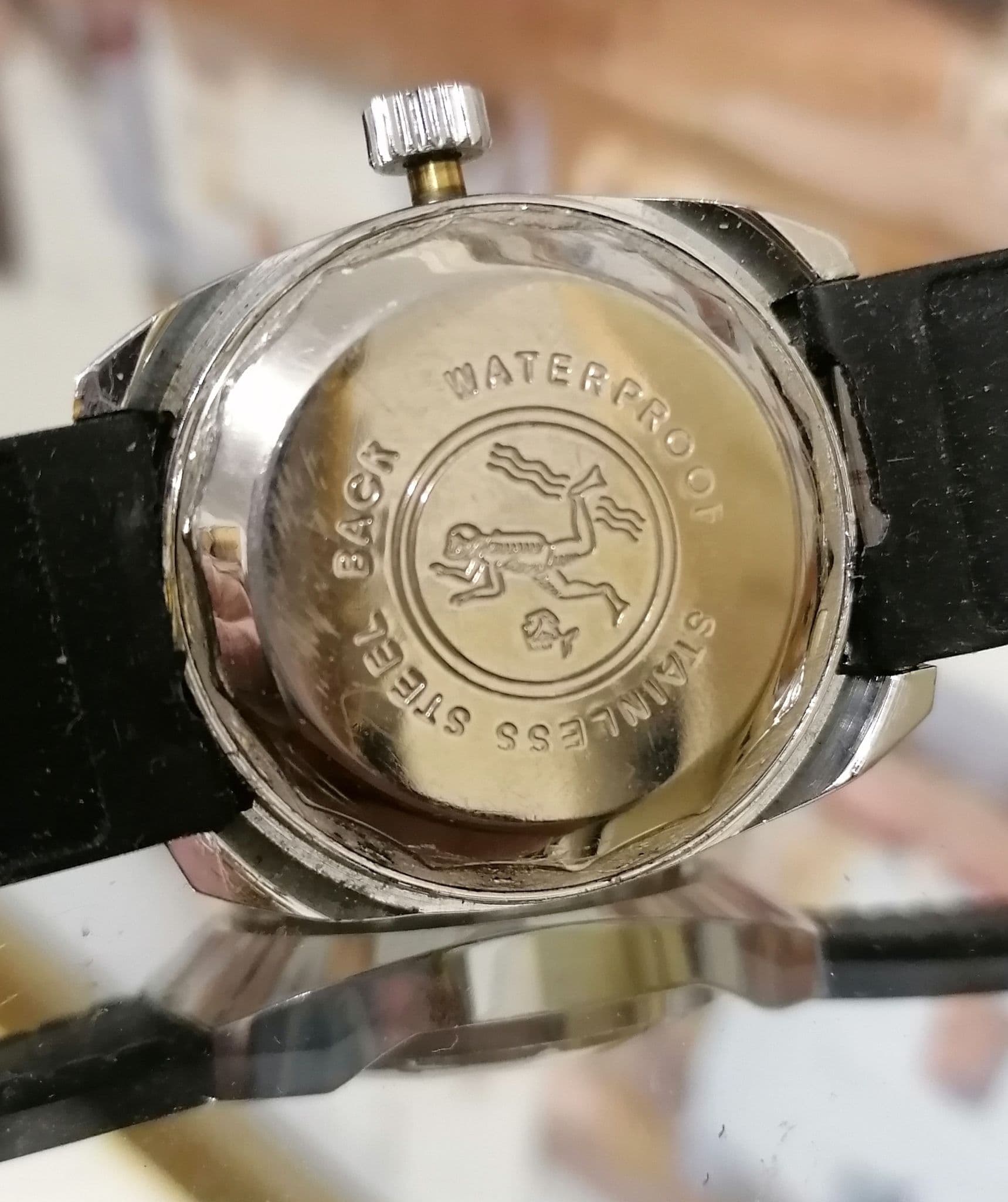 DIANE divers watch for project