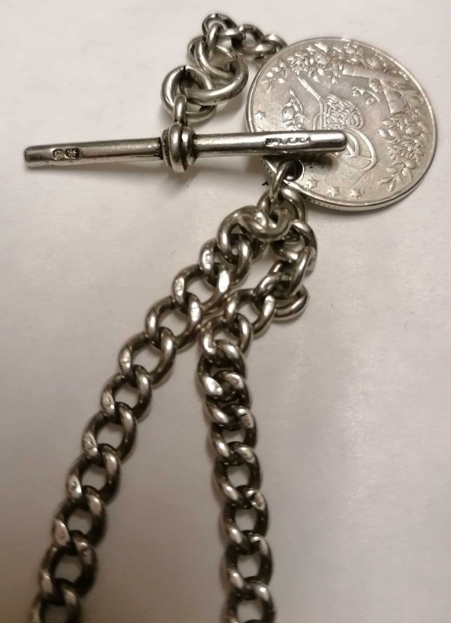Double Albert chain solid silver with coin