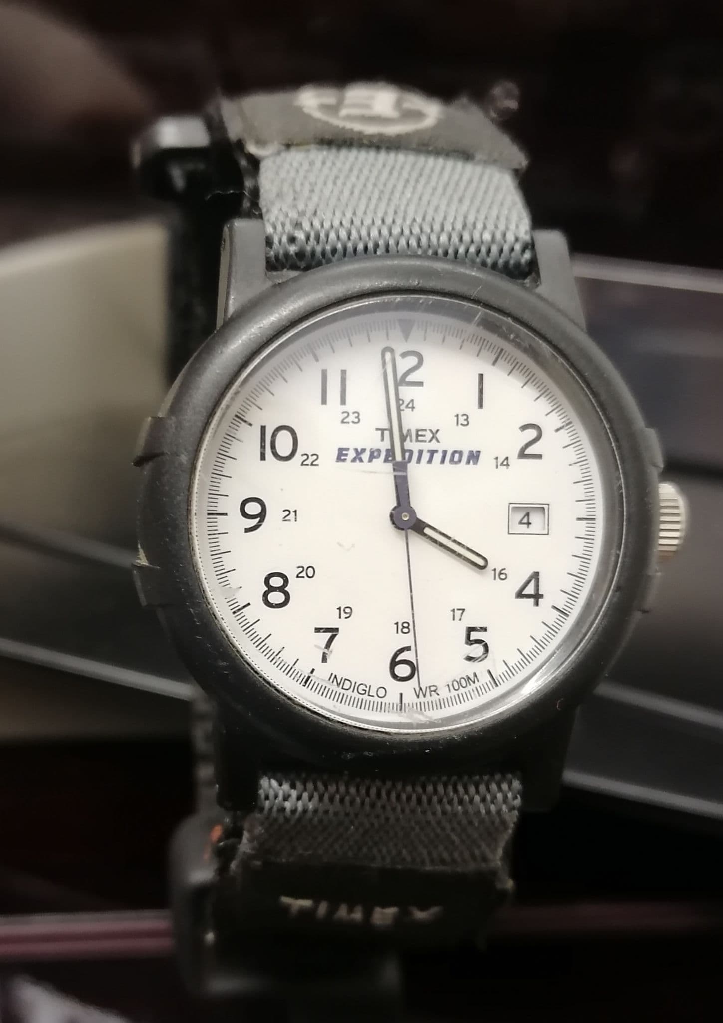 Timex Expedition white dial