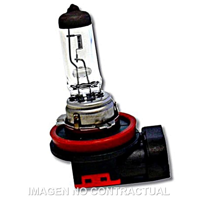 Lámpara 12V 55W H11 de faro Halógena - Recambio moto