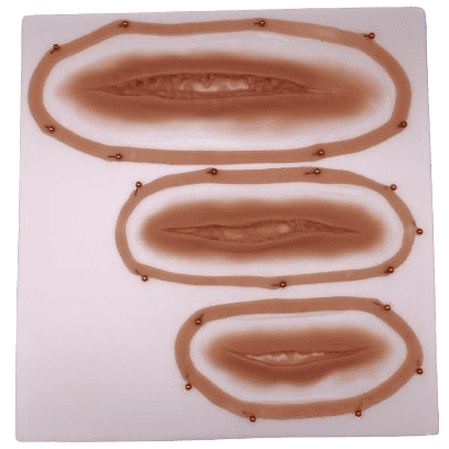 Slash Set (3 Piece) Prosthetic | Silicone | Mouldlife