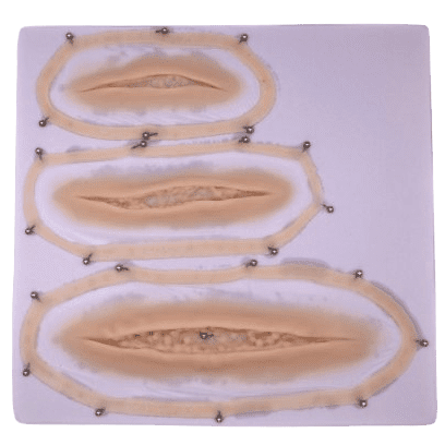 Slash Set (3 Piece) Prosthetic | Silicone | Mouldlife