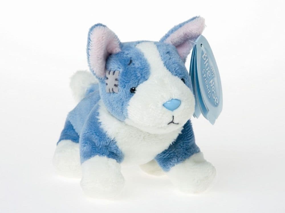 Blue Nose Friend