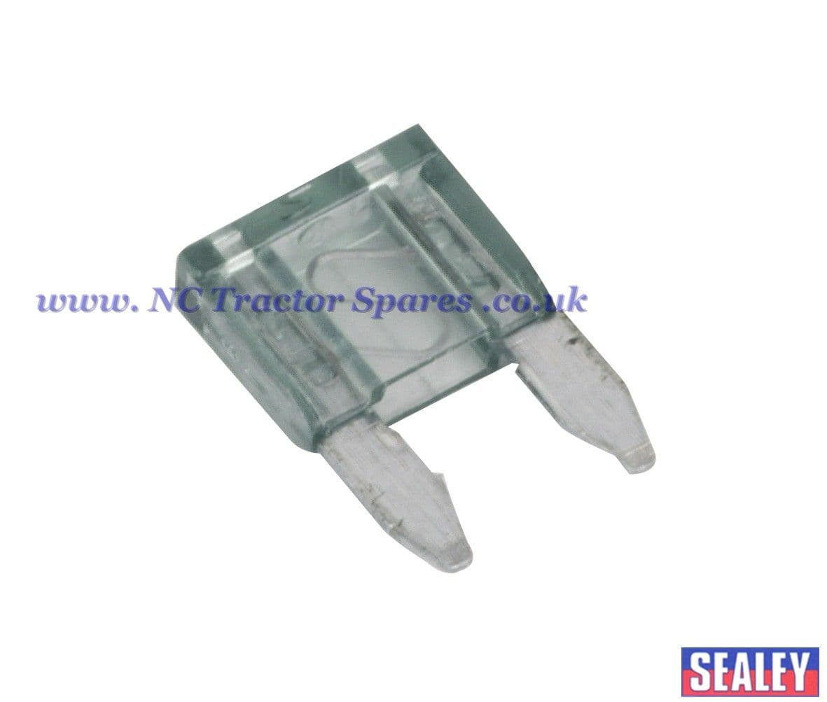 Automotive MINI Fuse 2Amp Pack of 10