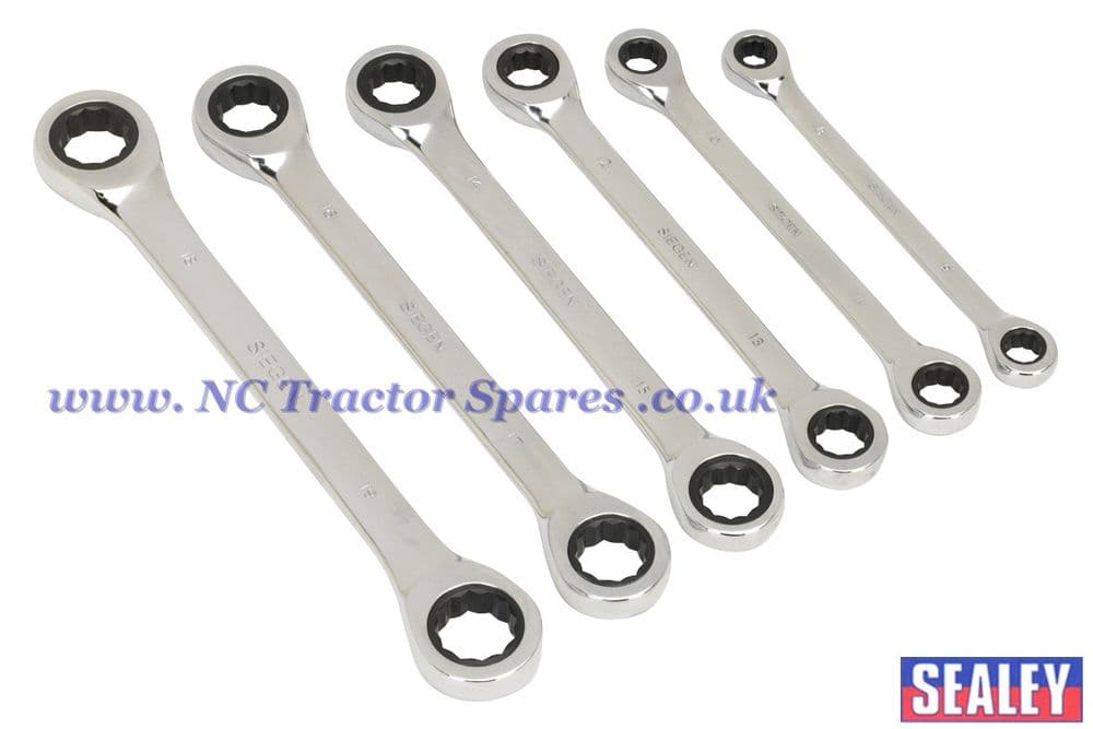Double End Ratchet Ring Spanner Set 6pc Metric