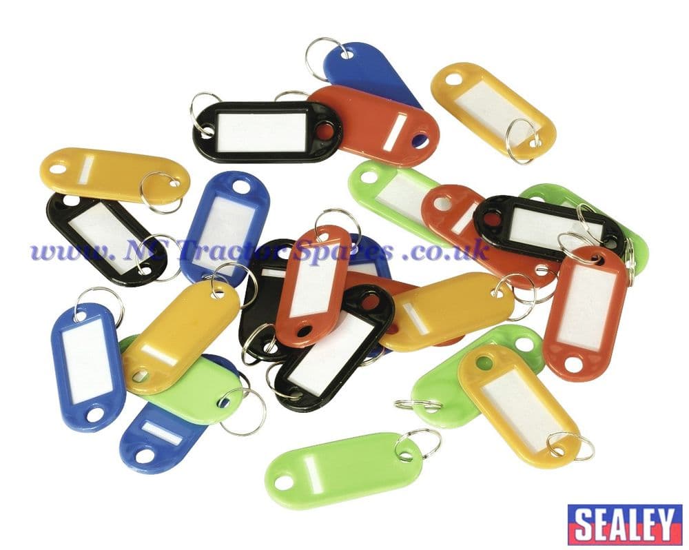 Key Tag Assortment 25pc