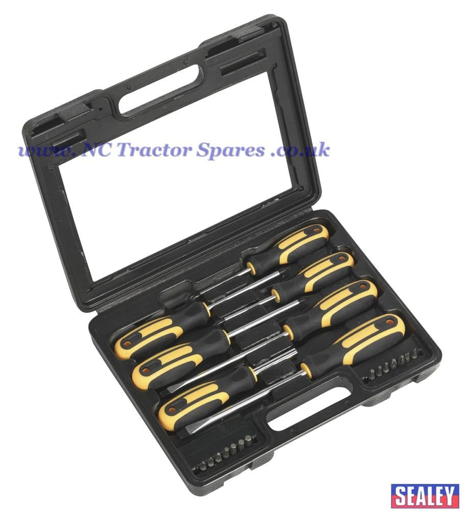 Screwdriver Set 21pc with Carry-Case