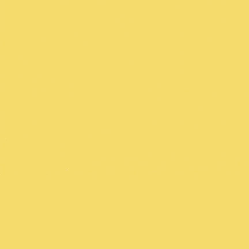 Makower Spectrum - Y02 - Maize - Solid Plain Cotton Fabric