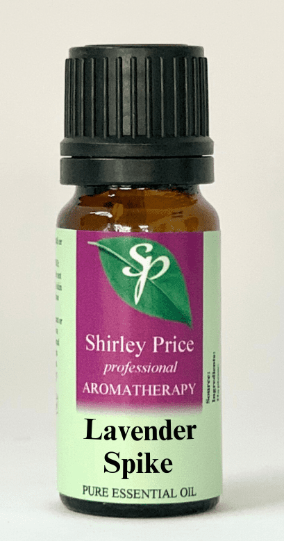 Lavender Spike Lavandula latifolia 10ml
