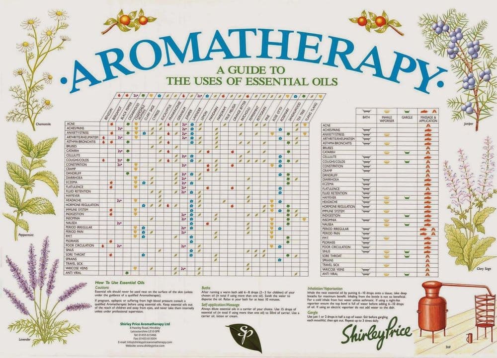 Shirley Price Aromatherapy Reference Chart/Poster - A2