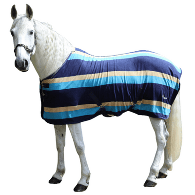 Equine Equipment | Rider Clothing | Blue Lizard Equestrian