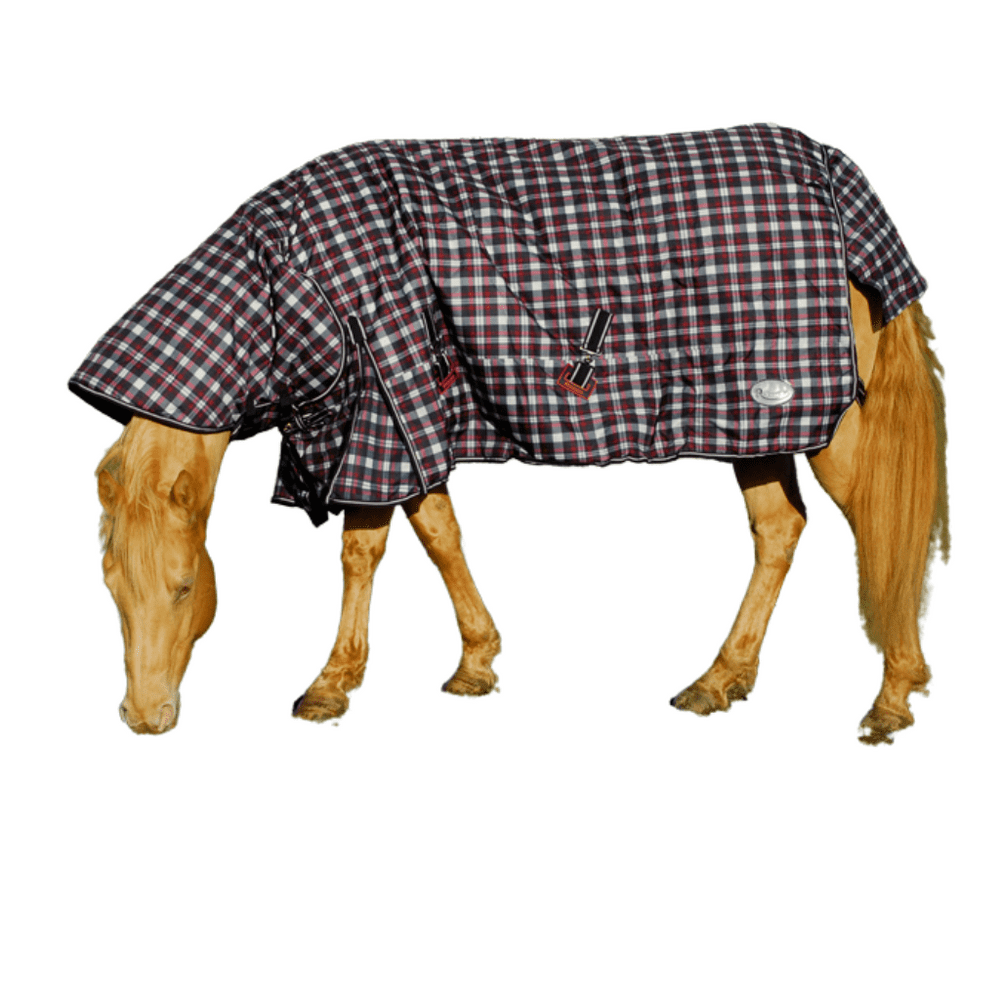 Blue Lizard Equestrian|The Glacier heavyweight winter rug