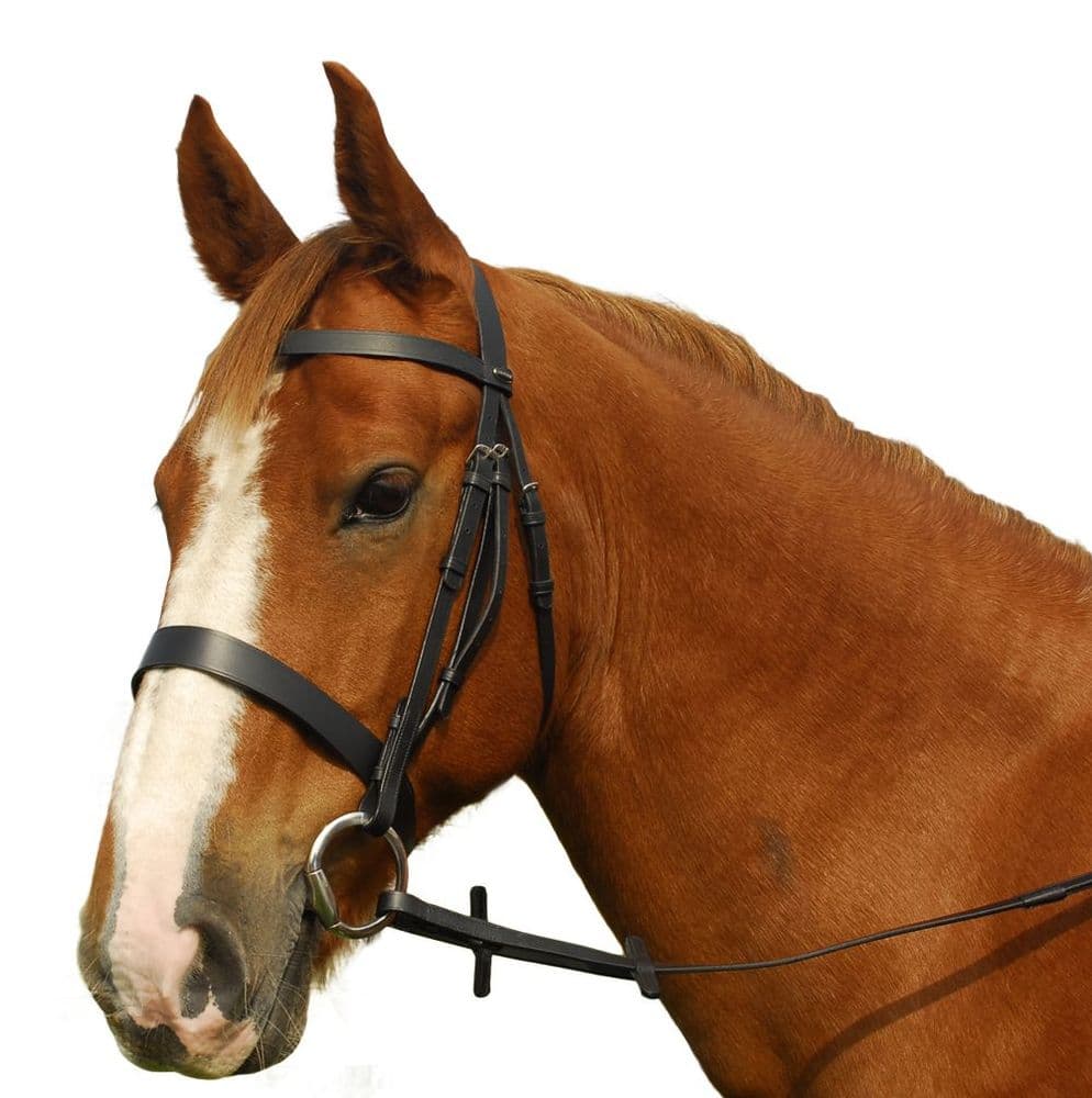 Blue Lizard Equestrian|Heritage English Leather Hunting Bridle