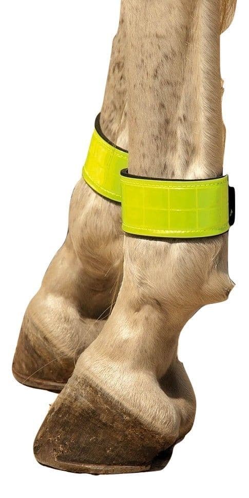 Blue Lizard Equestrian|High Visibility Leg Bands for horses