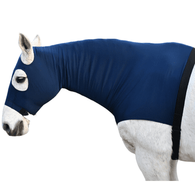 Equine Equipment | Rider Clothing | Blue Lizard Equestrian